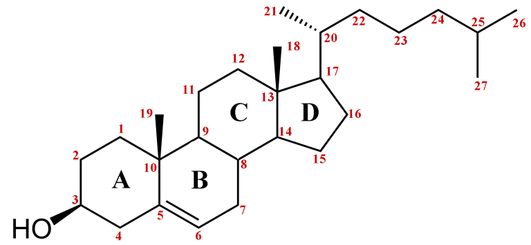 Estructura del colesterol | Cursos Online Web