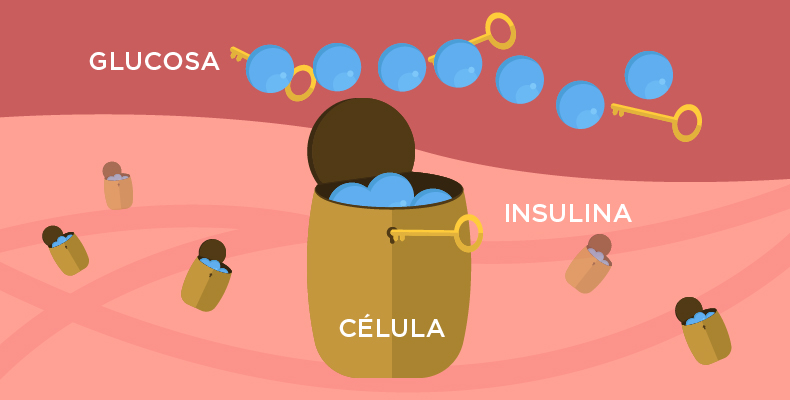 Resistencia a la insulina | Cursos Online Web