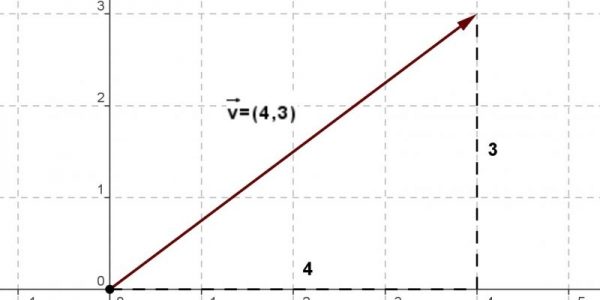 Características del vector | Cursos Online Web