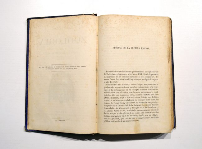 ¿Cómo hacer un prólogo? | Cursos Online Web